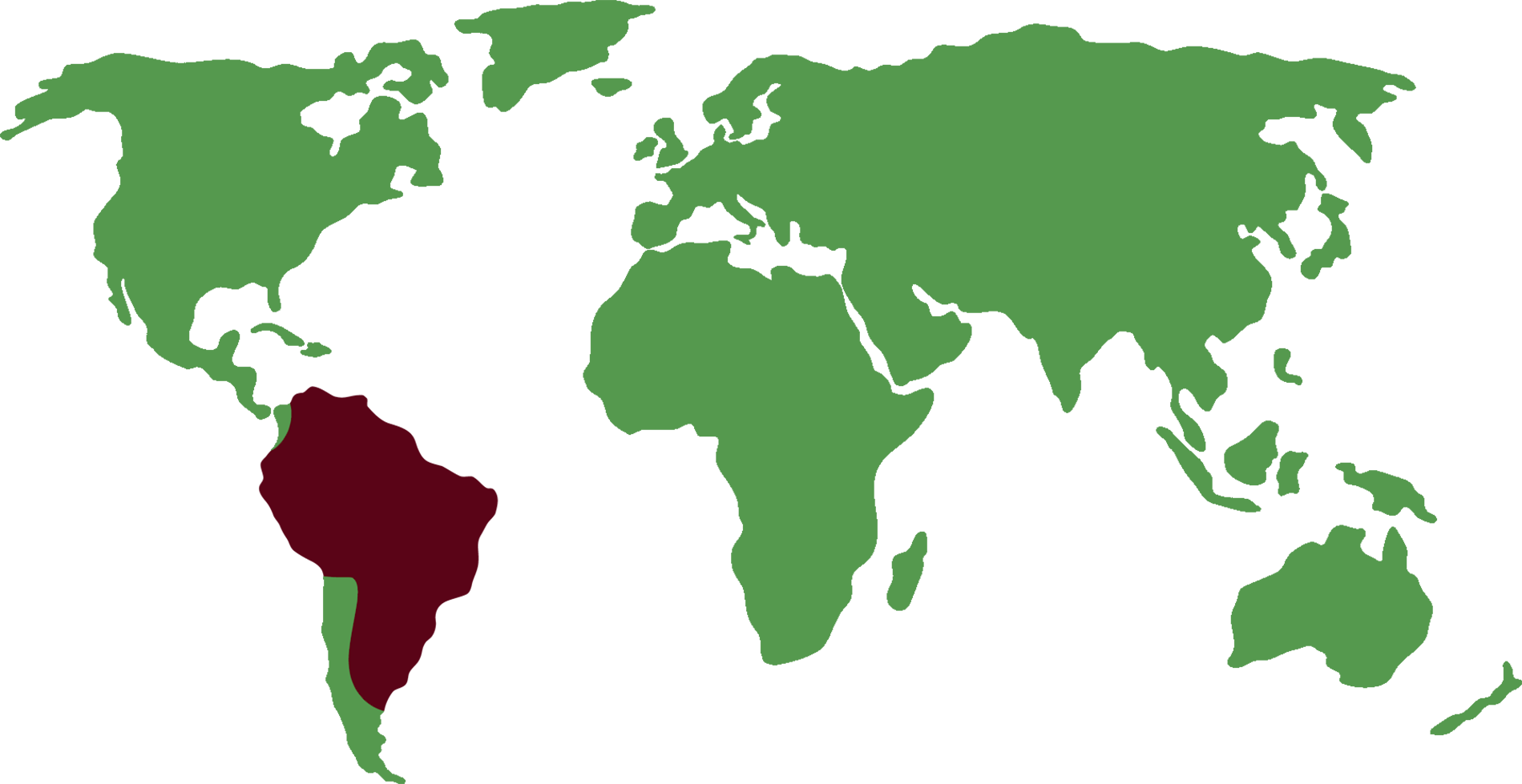 Boa constrictora - Jungle Park